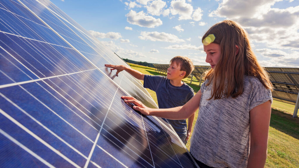 Critter Guard Installations in Massachusetts – Mass Renewables